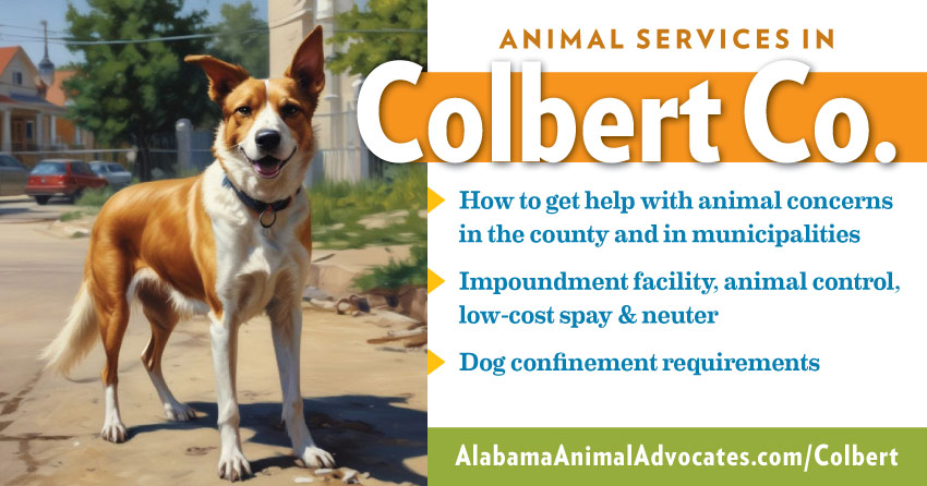 Animal Services in Colbert County, Alabama